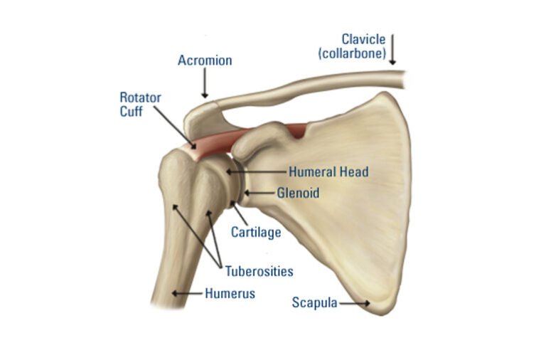 Can Injections Trigger Frozen Shoulder? A Deep Dive into Adhesive ...